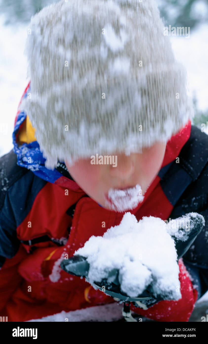 Boy eating snow Stock Photo - Alamy