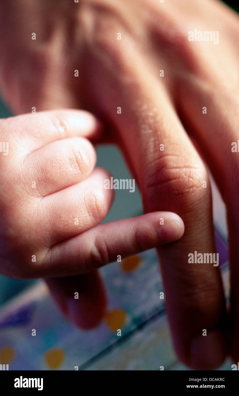 Two hands touching delicate hi-res stock photography and images - Alamy