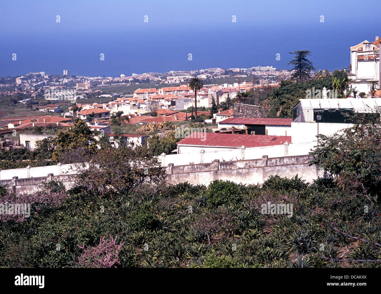 View across the valley and town towards the Atlantic Ocean, La Orotava ...