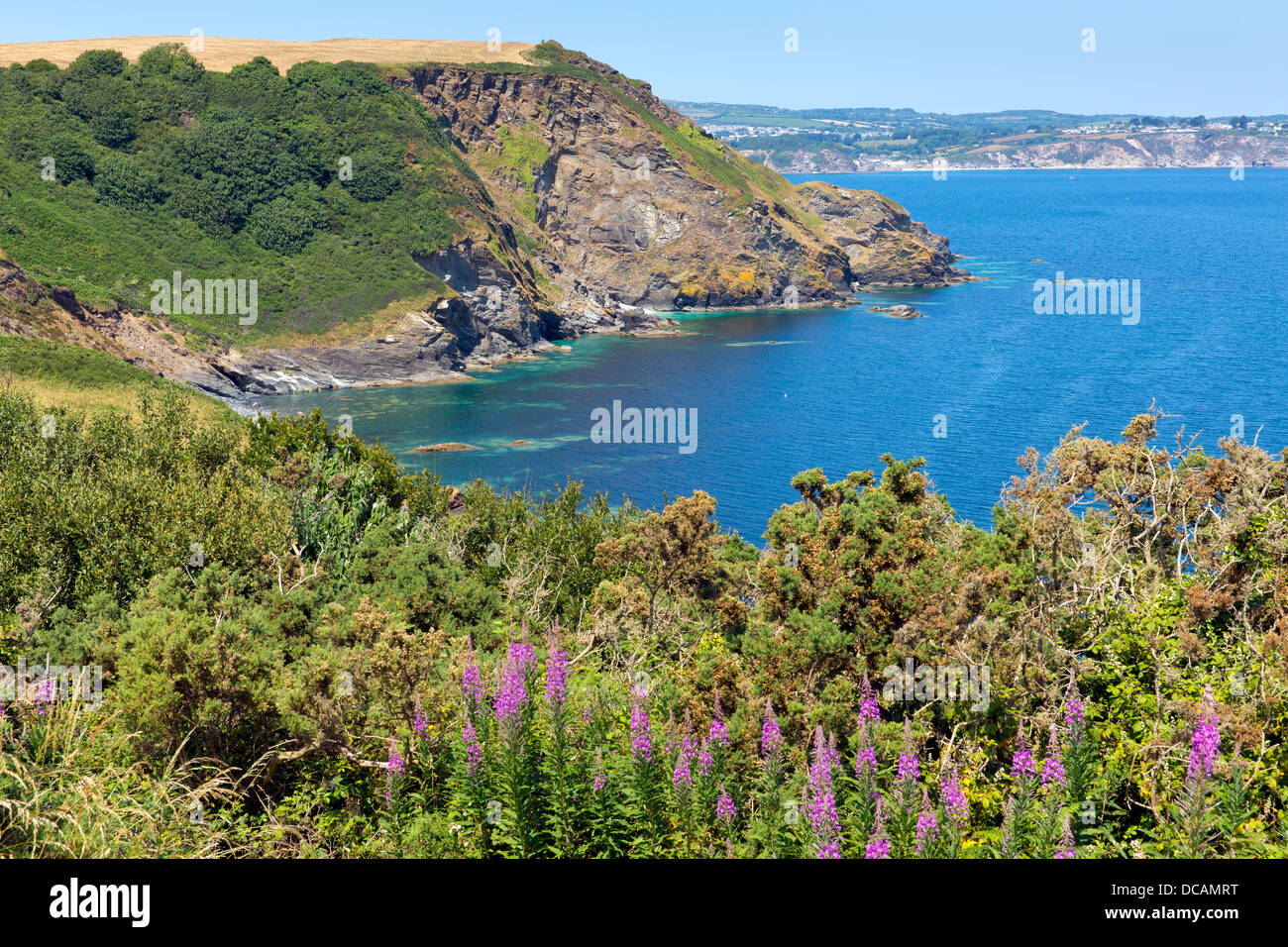 St Austell Bay Cornwall from Black Head headland near Trenarren between ...