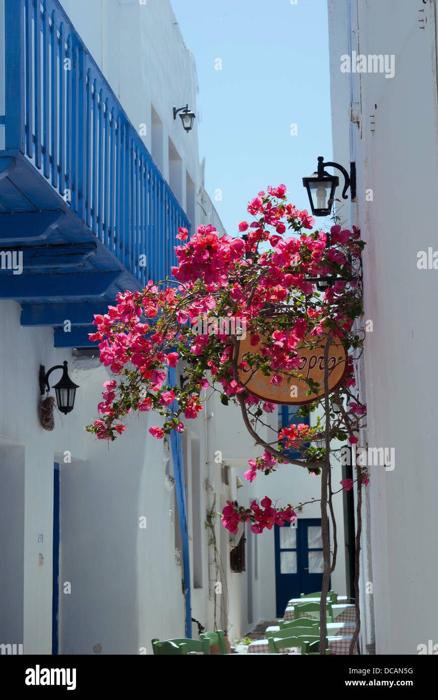 Traditional greek alley on Sifnos island, Greece Stock Photo - Alamy