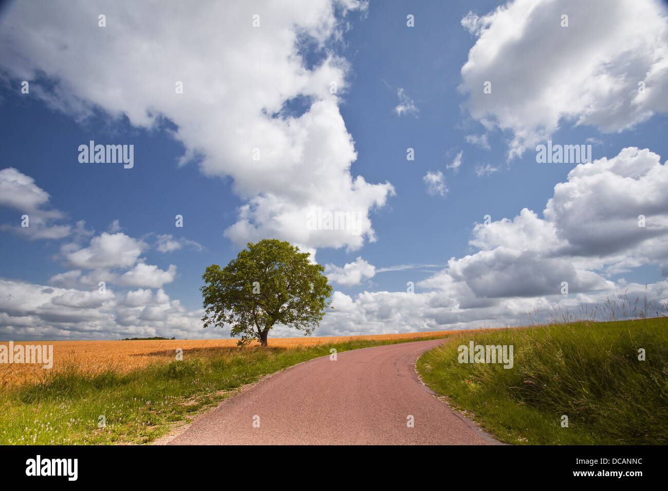Isolated countryside tarmac road hi-res stock photography and images ...