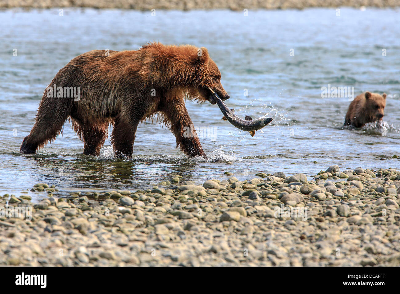 Mcneil river state game sanctuary and refuge hi-res stock photography ...
