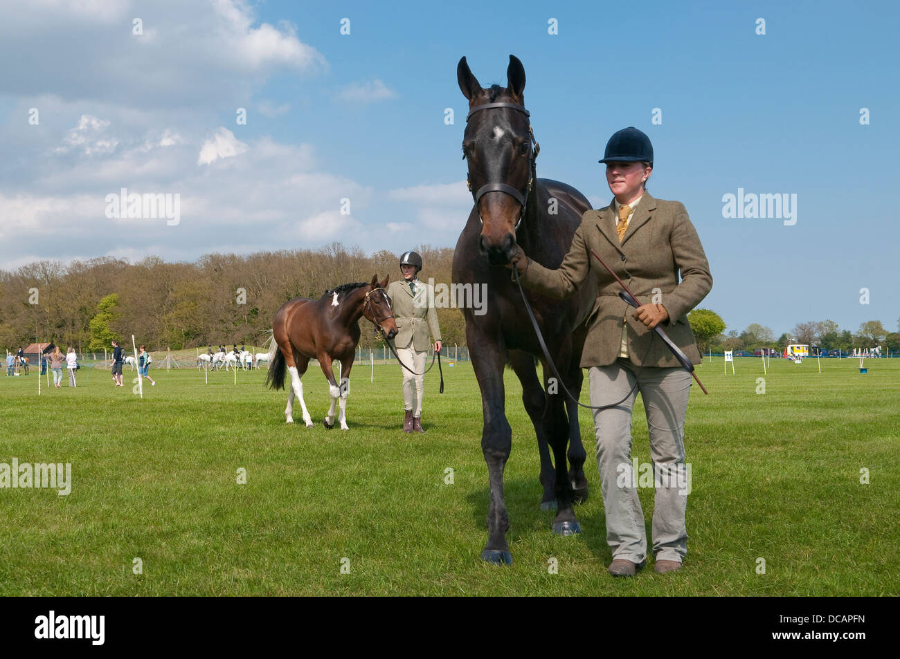 Horse riders at Suffolk Horse Show in Ipswich Stock Photo - Alamy