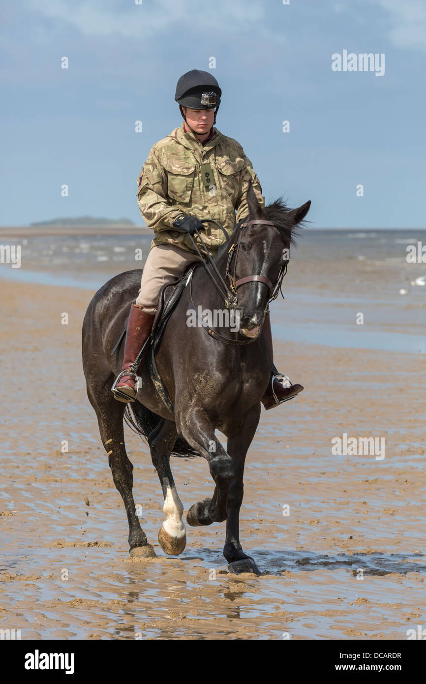 Lifeguards camp hi-res stock photography and images - Alamy