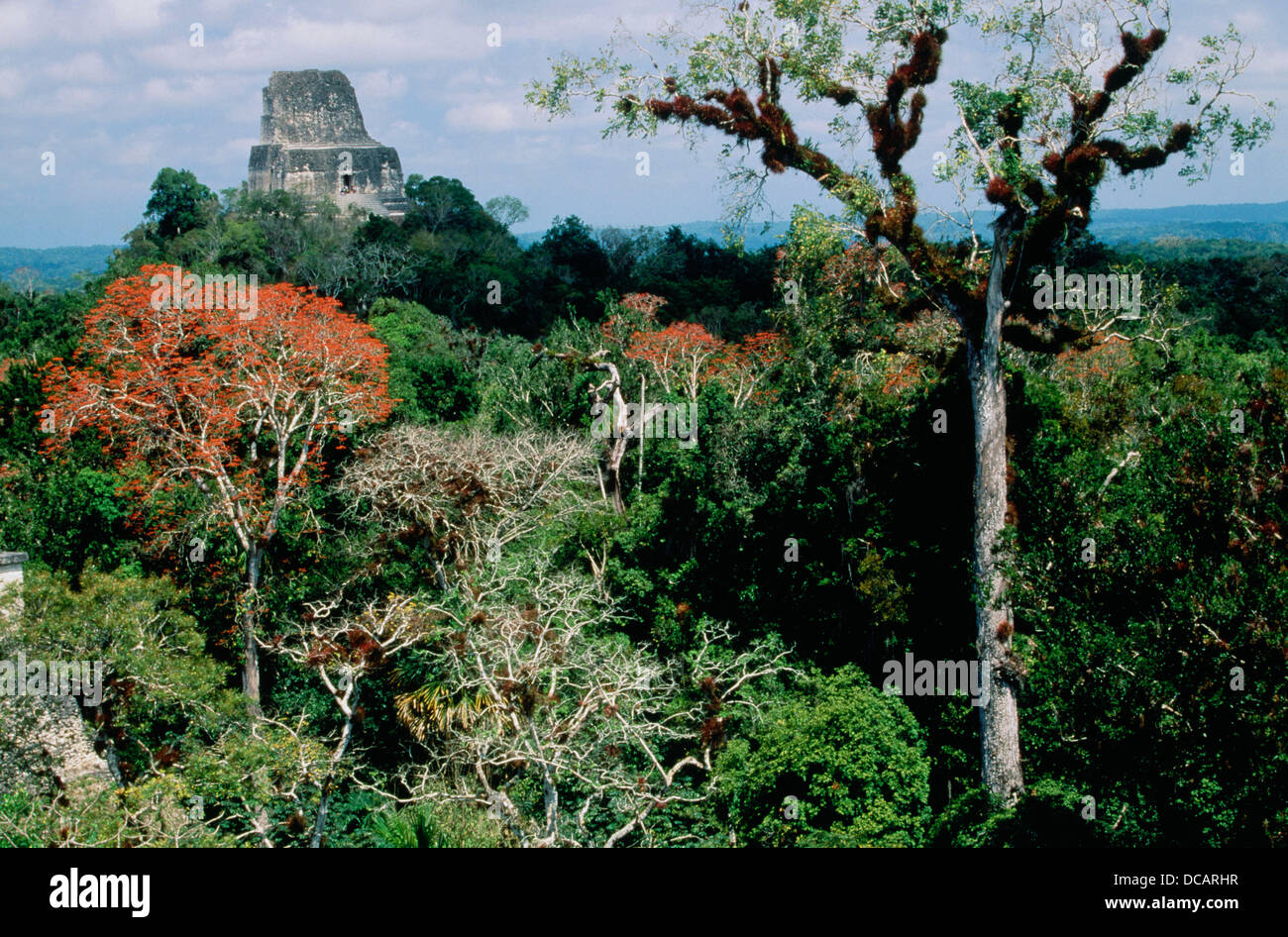 Temple IV. Mayan ruins of Tikal. Guatemala Stock Photo - Alamy