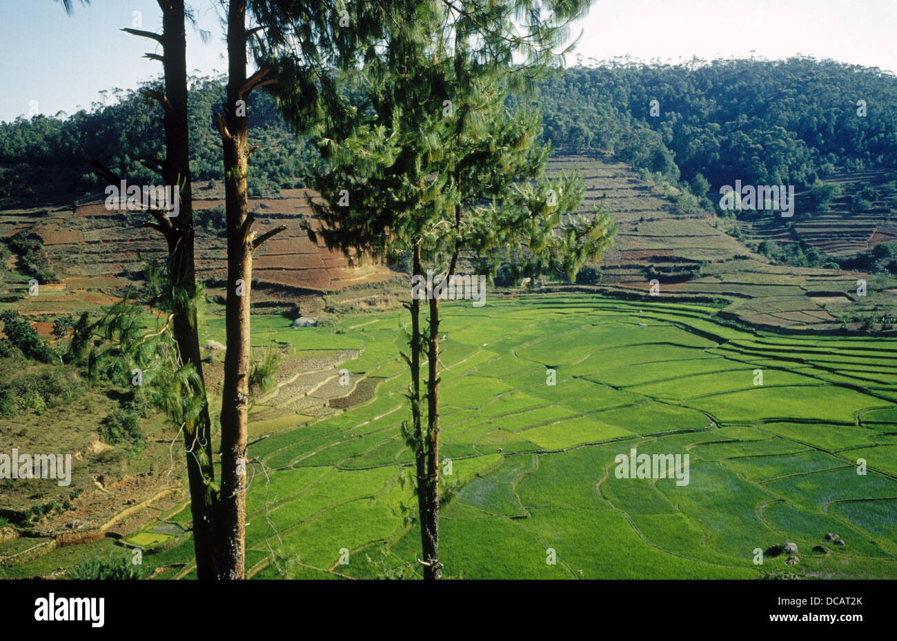 Madagascar economy hi-res stock photography and images - Alamy