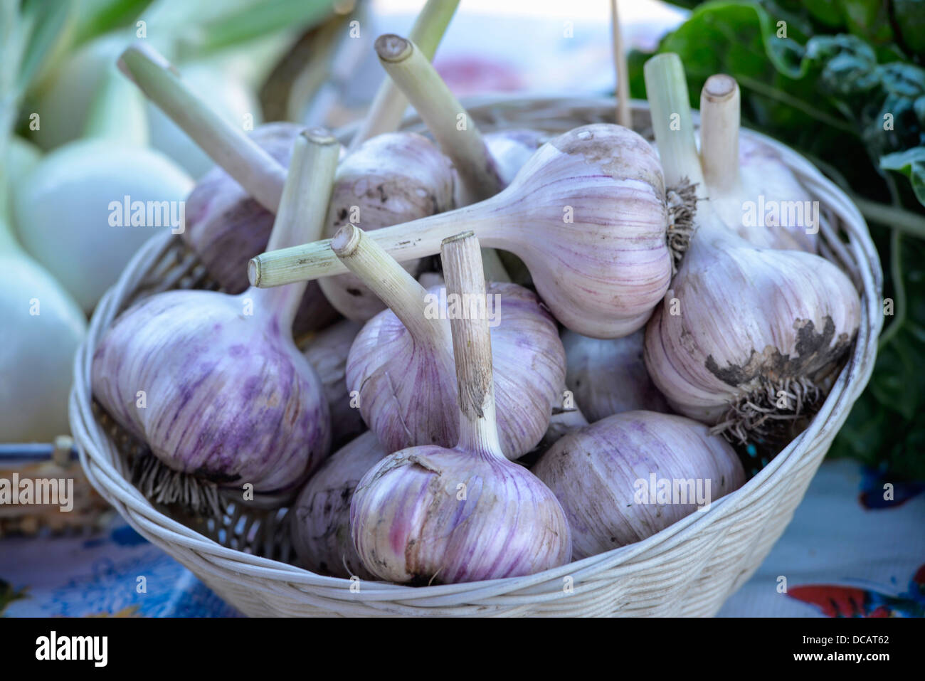 Garlic on display at a vendor,s booth at the Walllowa County Farmers ...