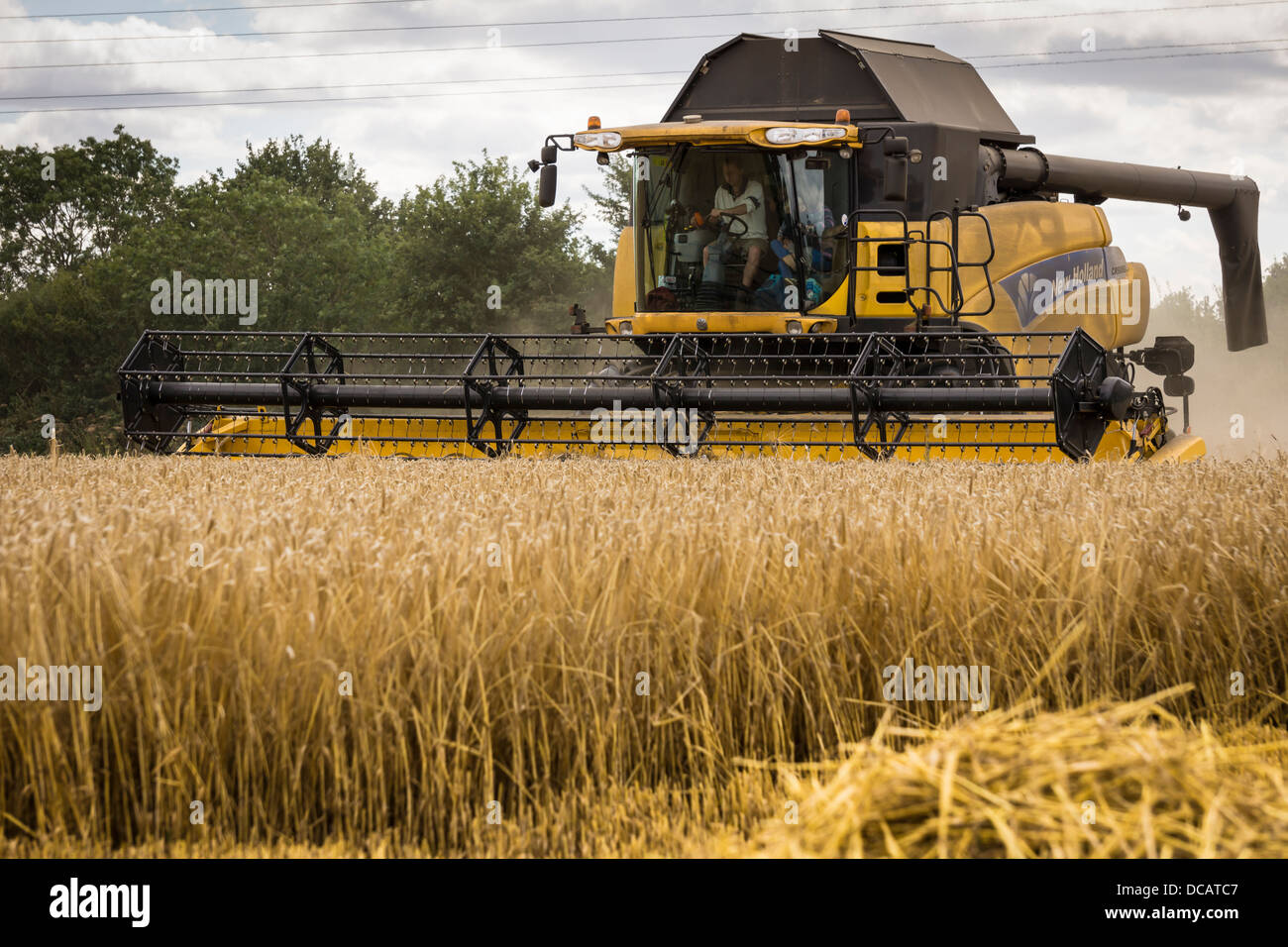 Combine Harvester at work Stock Photo - Alamy