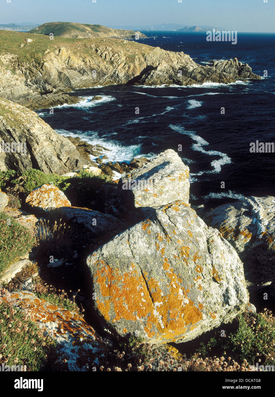 Burato hi-res stock photography and images - Alamy