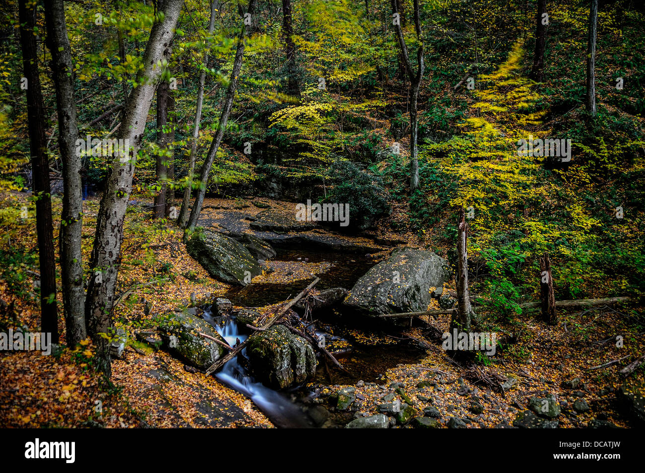 Dunnfield hi-res stock photography and images - Alamy