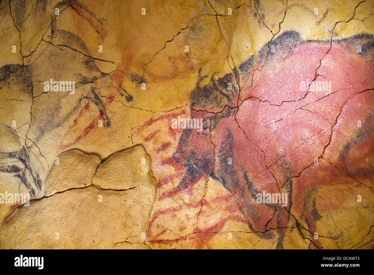 Paleolithic Cave Paintings High Resolution Stock Photography and Images ...