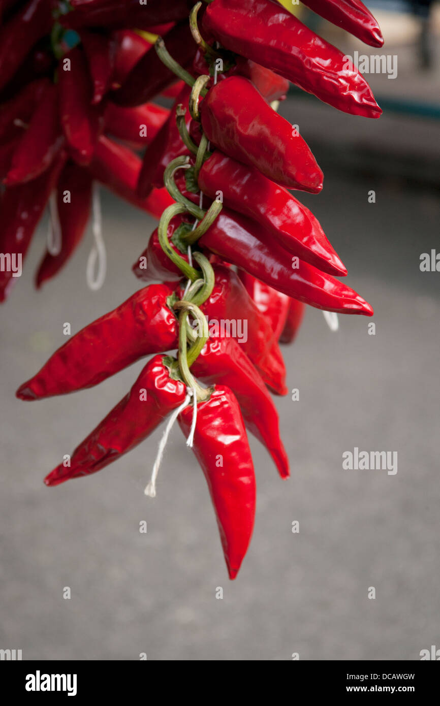 Chilli views hi-res stock photography and images - Alamy