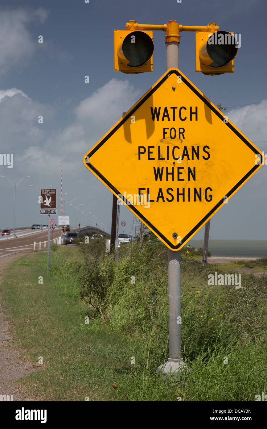 Pelican crossing sign hi-res stock photography and images - Alamy