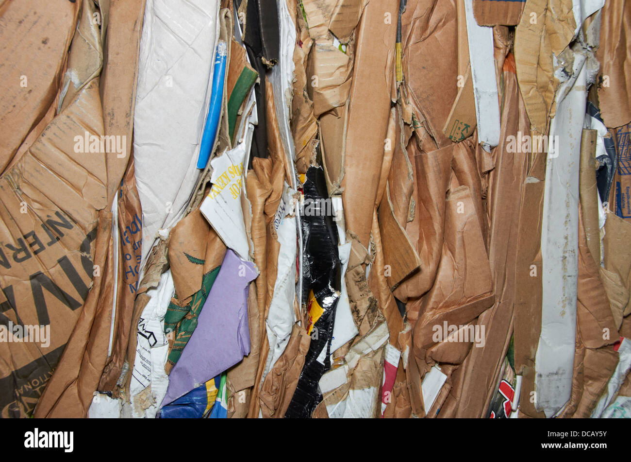 Cardboard that has been compacted in a baling machine Stock Photo - Alamy