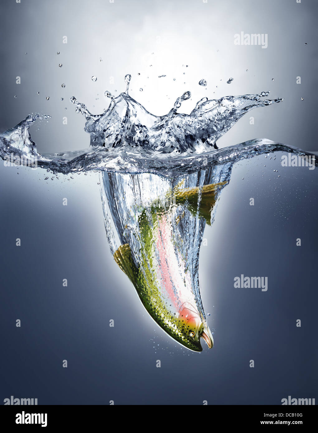 Crown fish hi-res stock photography and images - Alamy