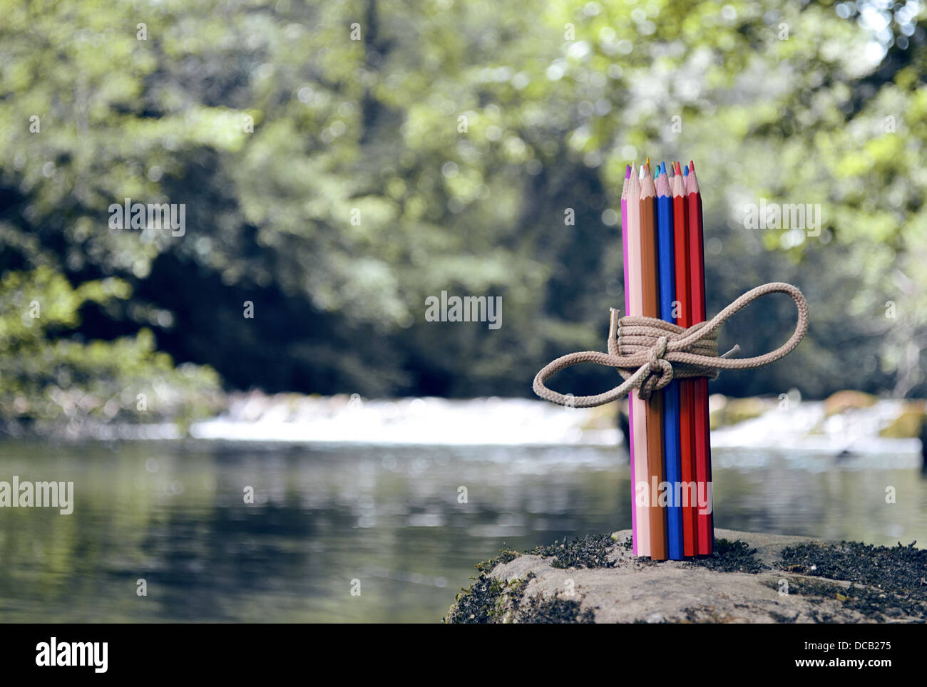 Creative nature photo hi-res stock photography and images - Alamy