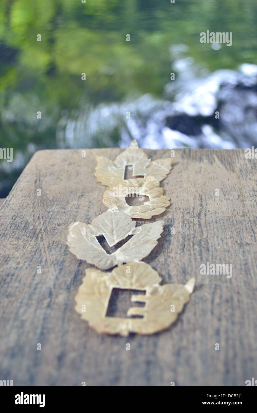 Love leaf hi-res stock photography and images - Alamy