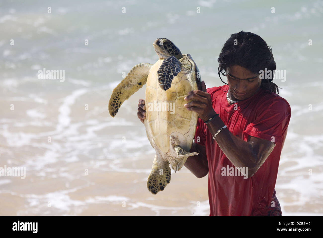 Man holding turtle hi-res stock photography and images - Alamy