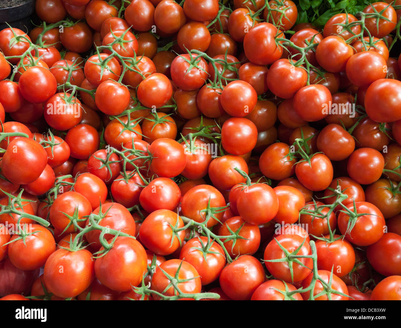 Tomatoes for sale at the market stall hi-res stock photography and ...