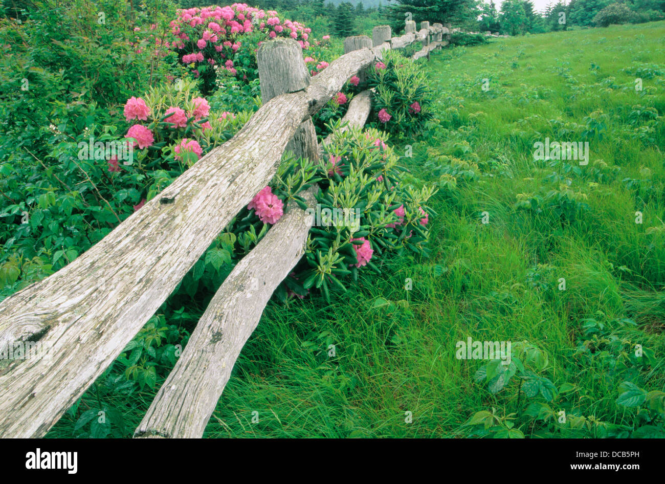 Carvers gap hi-res stock photography and images - Alamy