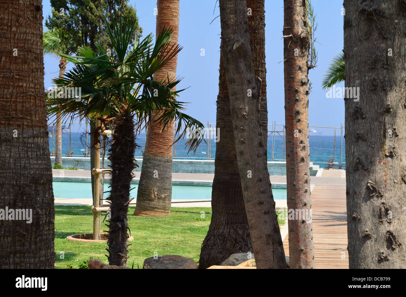 Limassol palm trees hi-res stock photography and images - Alamy