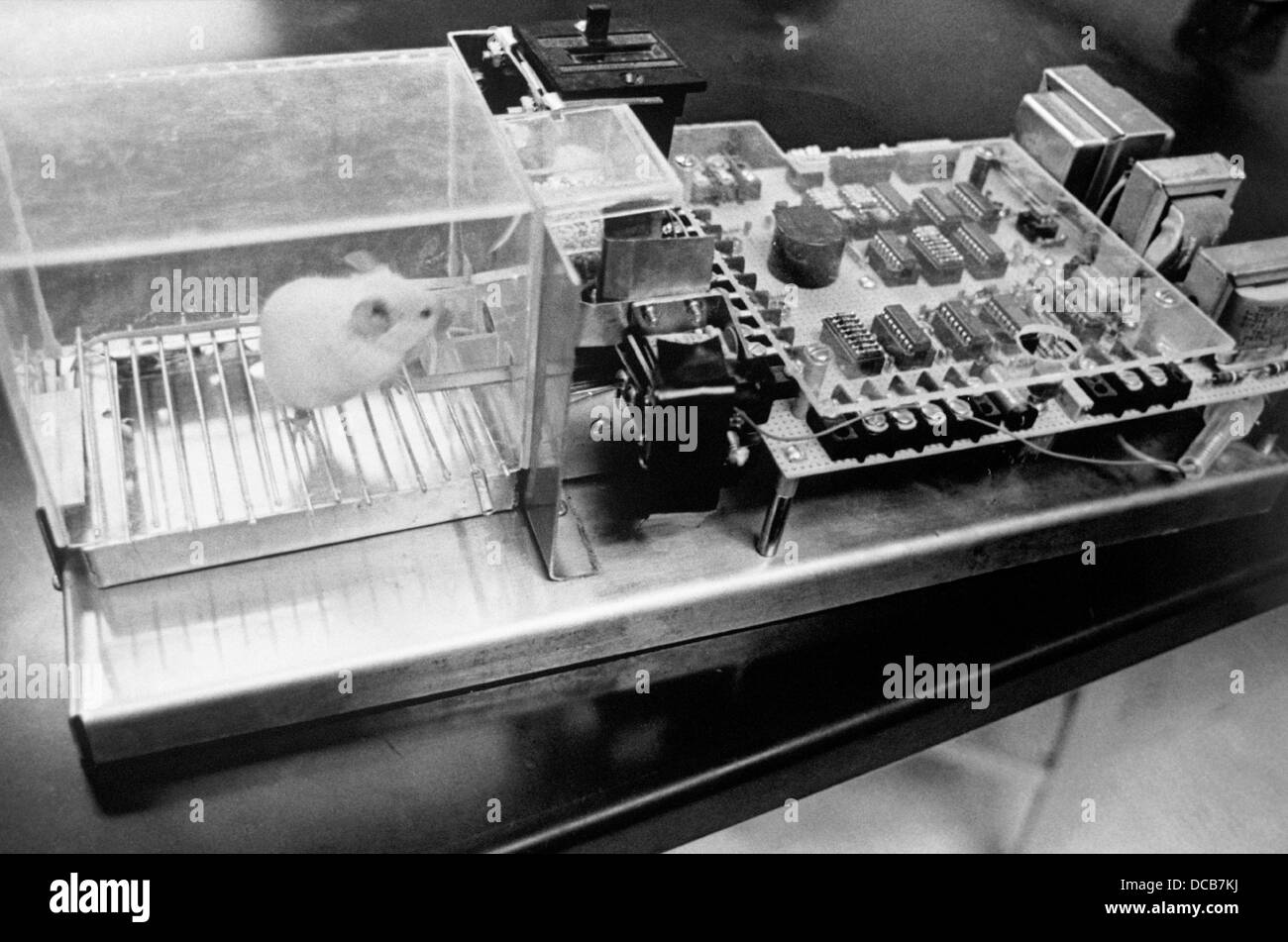 Human Skinner Box 1976