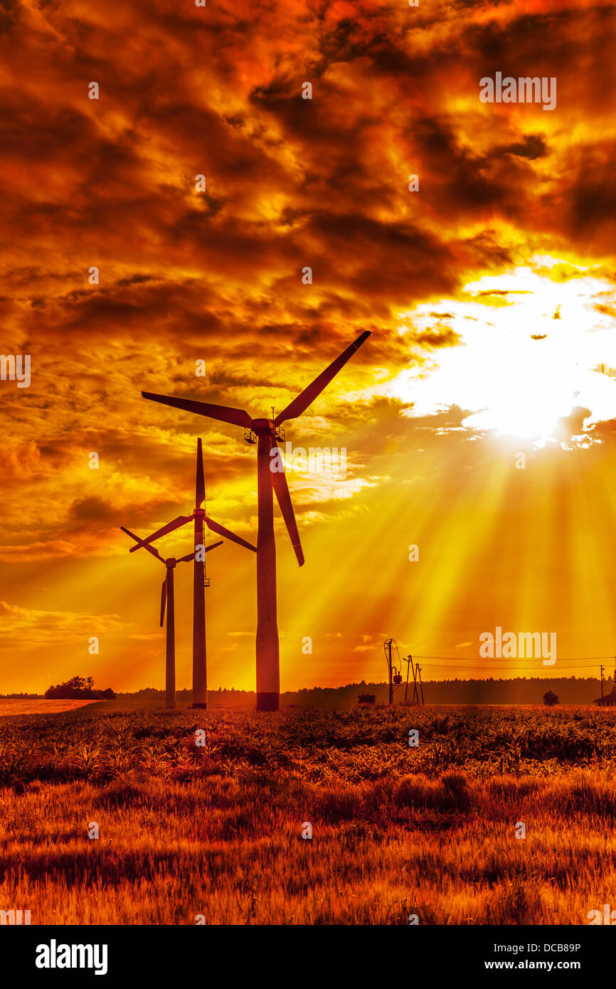 Orange sunset background hi-res stock photography and images - Alamy