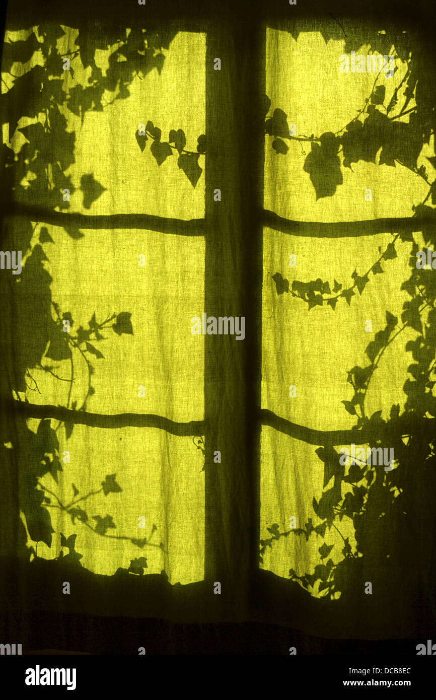 Shadows in the window Stock Photo - Alamy