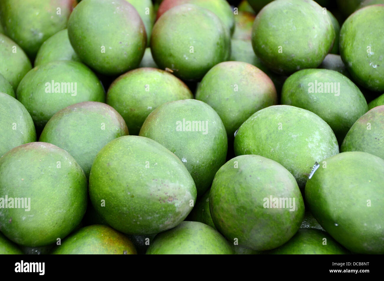 Mango Pit High Resolution Stock Photography and Images - Alamy