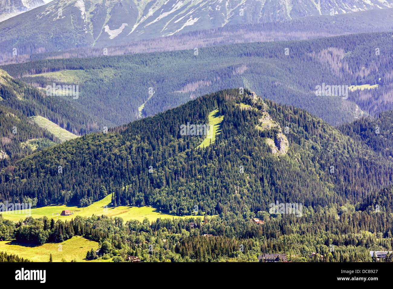 Nosal hi-res stock photography and images - Alamy