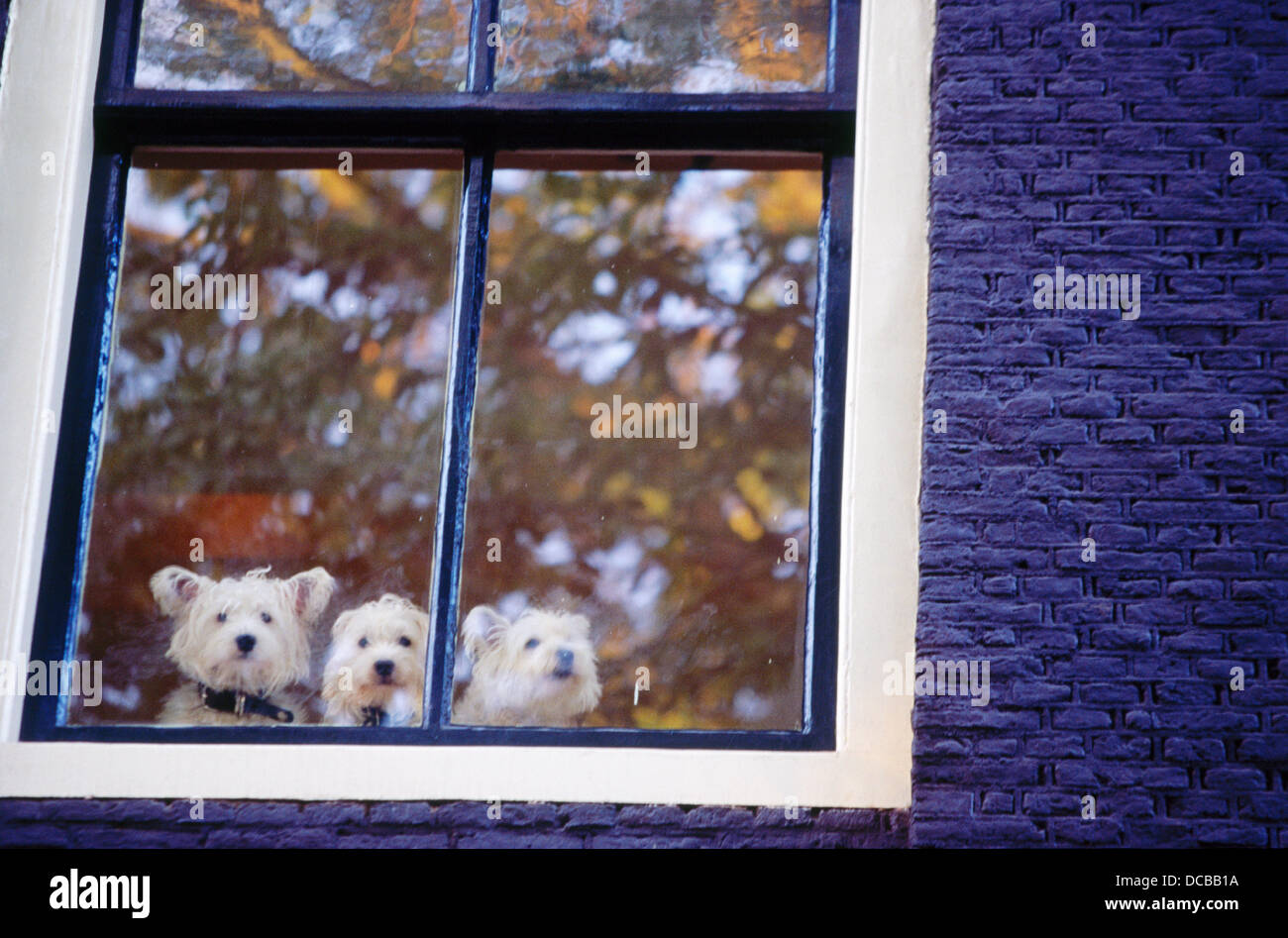 Three amsterdam hi-res stock photography and images - Alamy