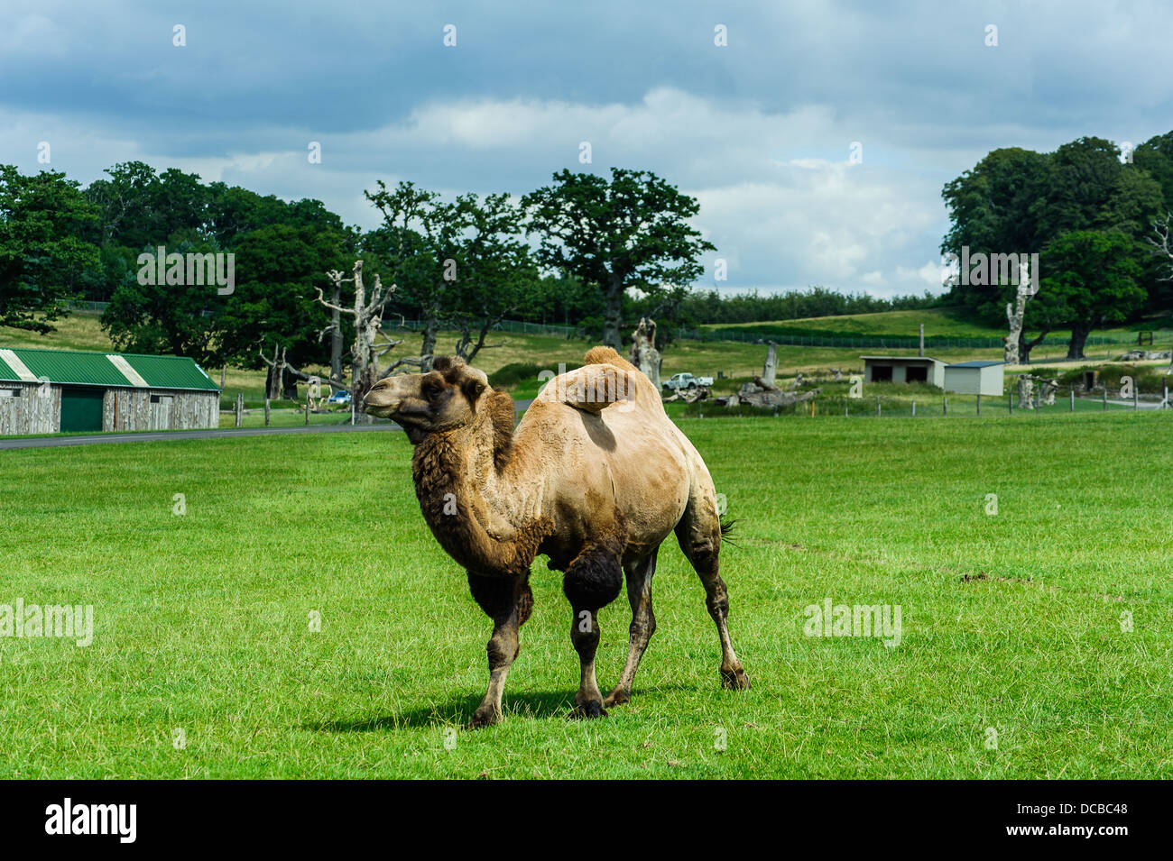 Longleat hi-res stock photography and images - Alamy