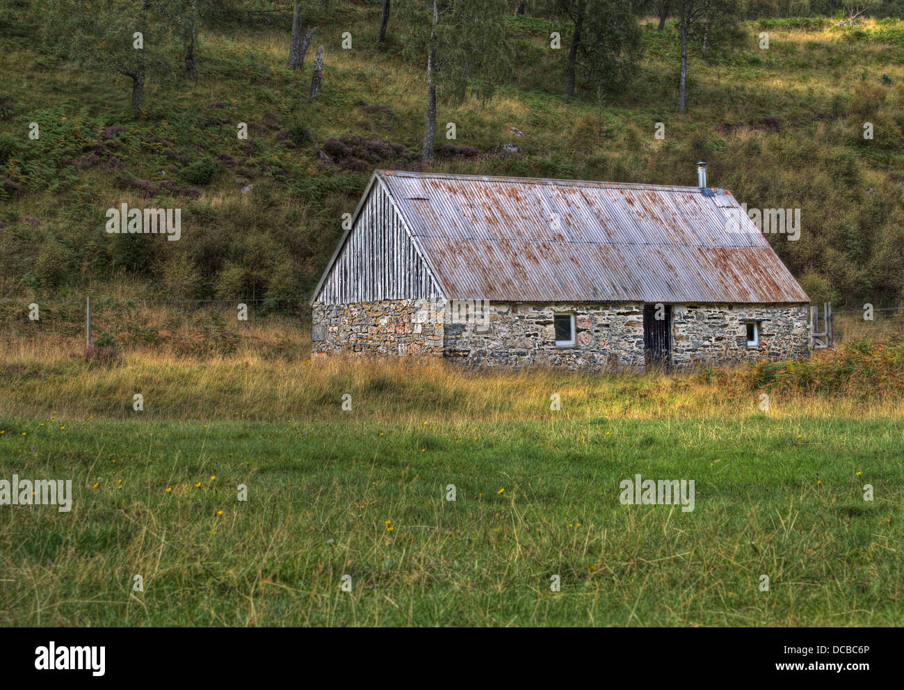 A Deserted Cottage in a Forest Stock Photo - Alamy