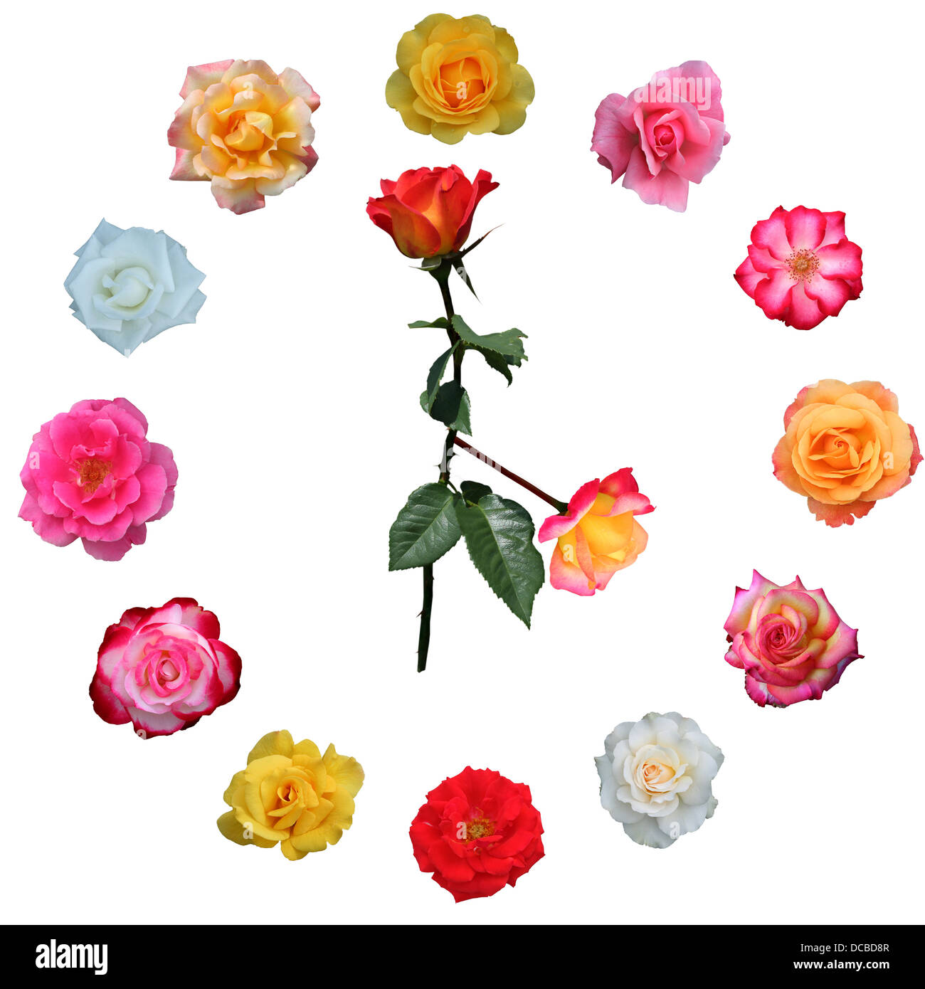 Clock face made of roses Stock Photo - Alamy