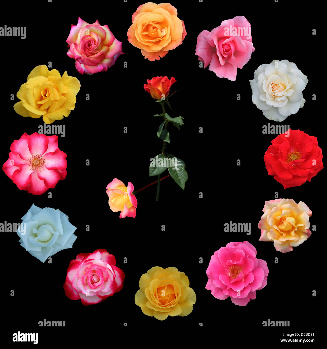Clock face made of roses Stock Photo - Alamy