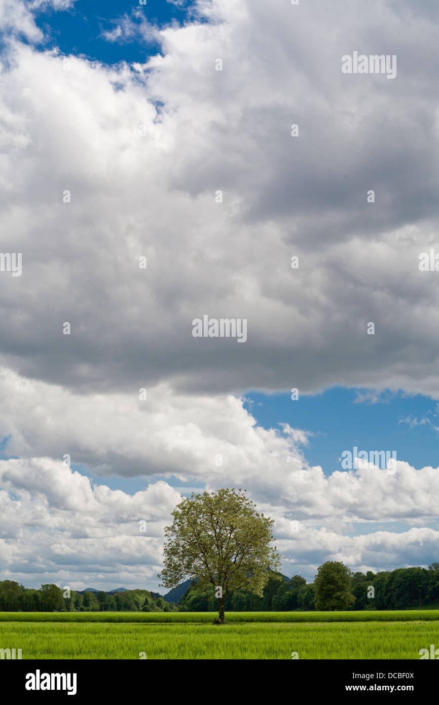 Rural summer hi-res stock photography and images - Alamy