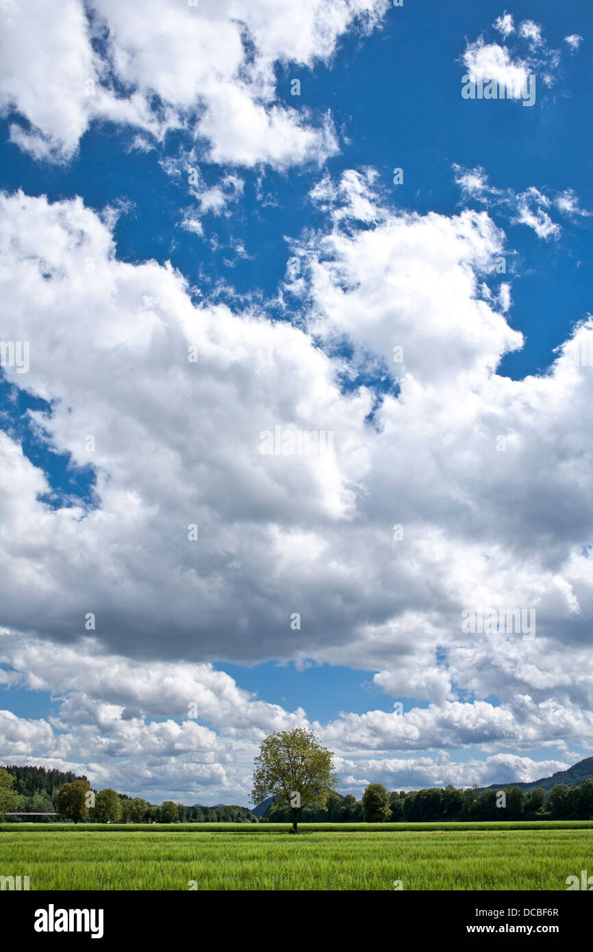 Rural summer hi-res stock photography and images - Alamy