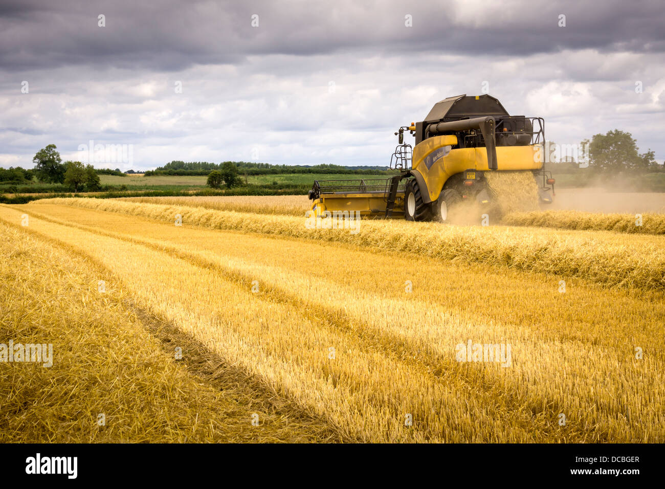 Combine Harvester at work Stock Photo - Alamy