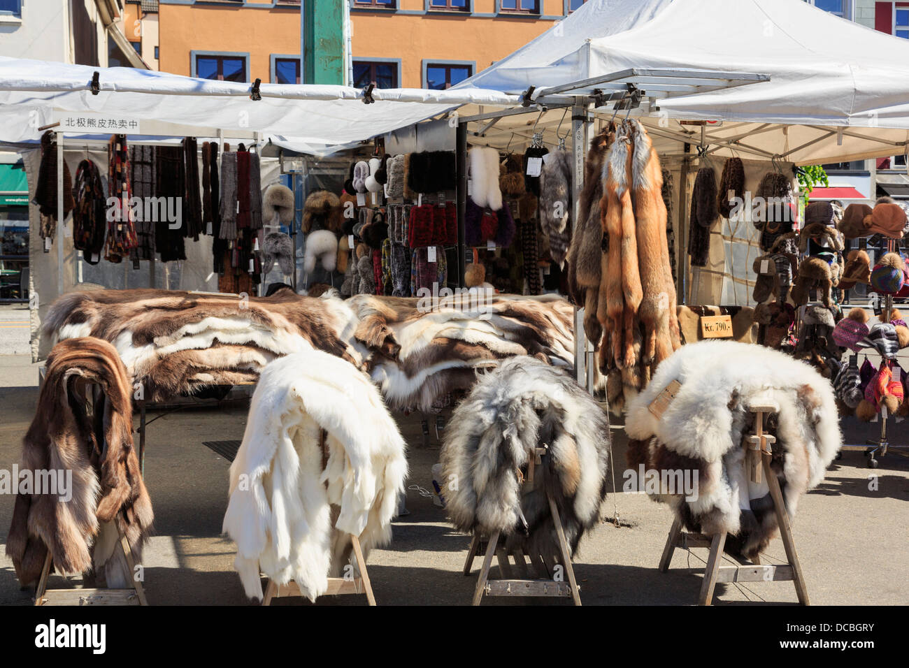 Reindeer fur skins for sale as gifts for tourists on a stall in Fish ...