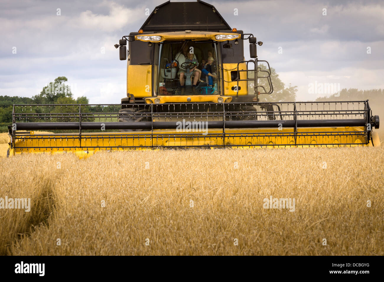 Combine Harvester at work Stock Photo - Alamy