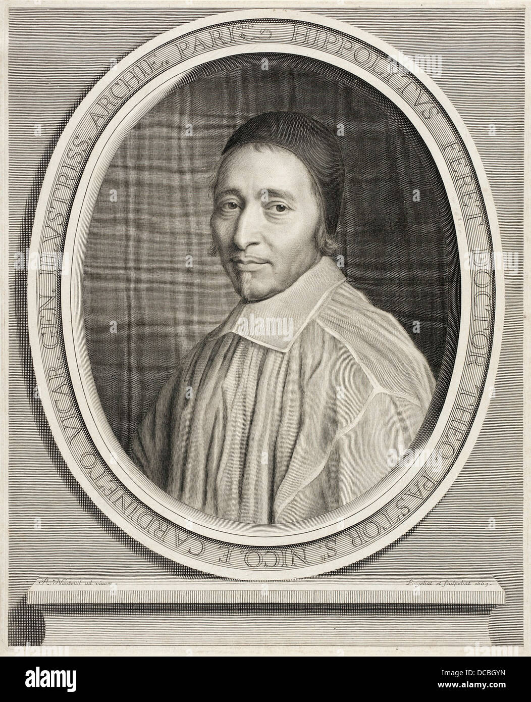 Feret hi-res stock photography and images - Alamy