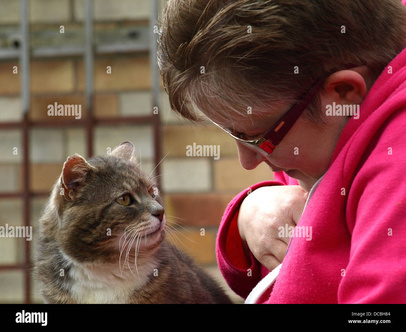 Crazy cat lady Stock Photo - Alamy