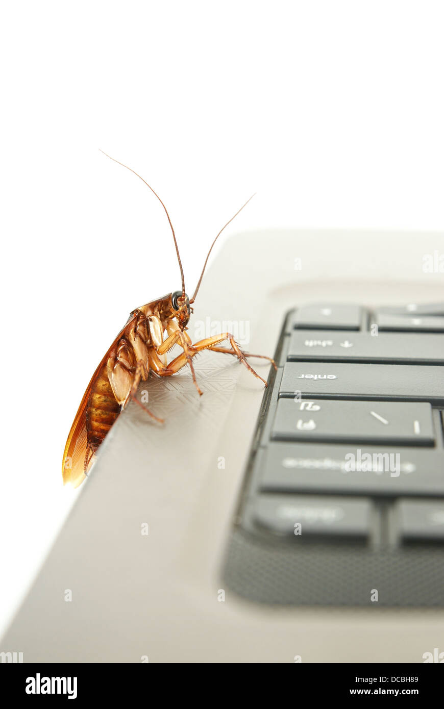 Computer attacked hi-res stock photography and images - Alamy