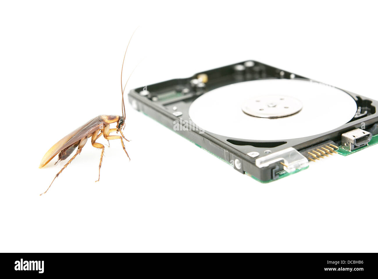 Computer attacked hi-res stock photography and images - Alamy