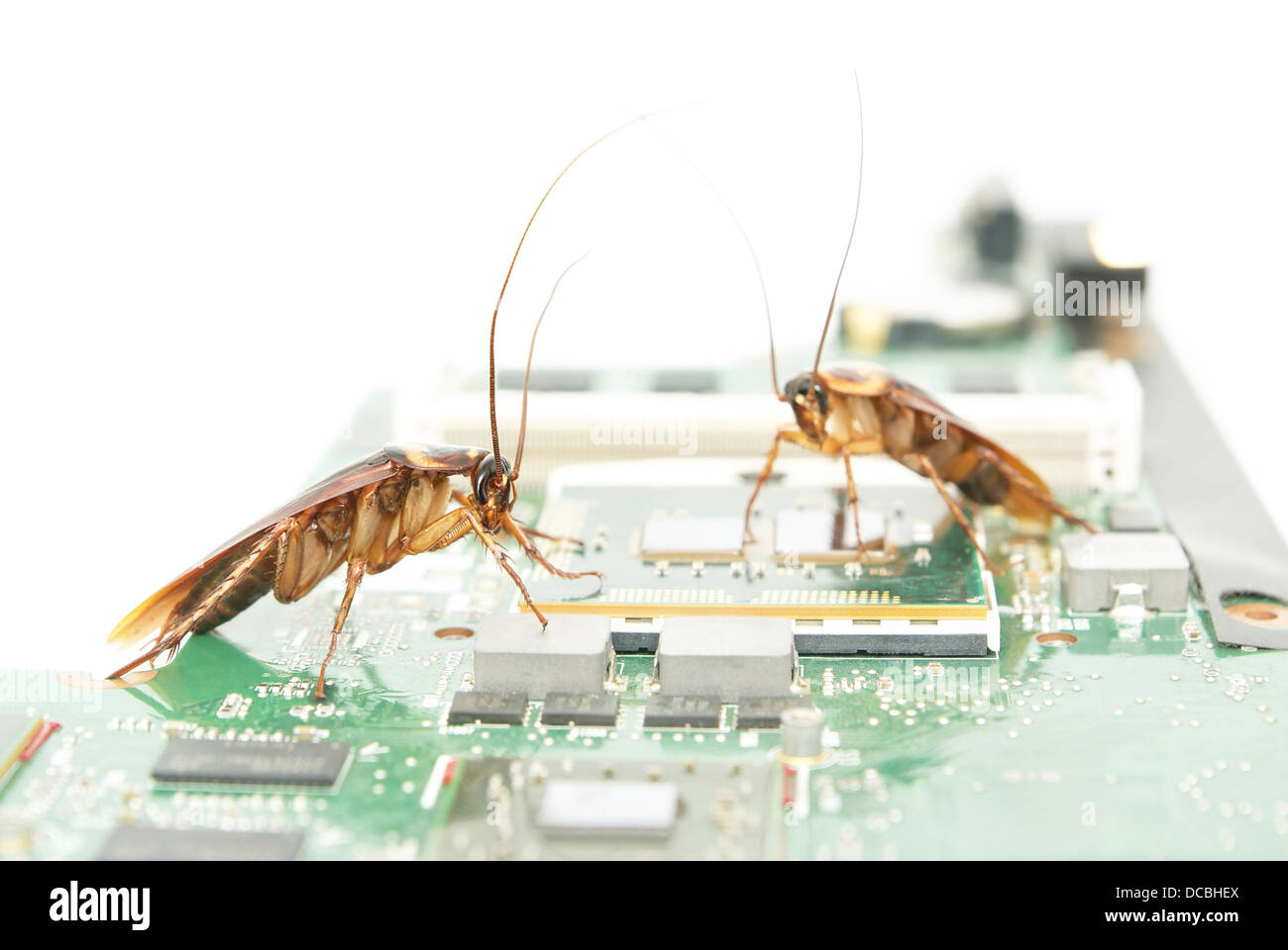 Threaten and harm hi-res stock photography and images - Alamy