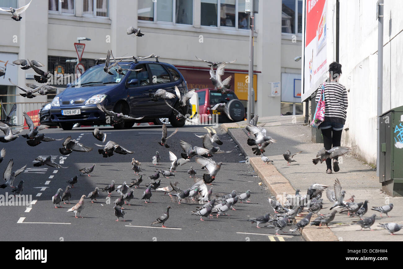 Cause nuisance hi-res stock photography and images - Alamy
