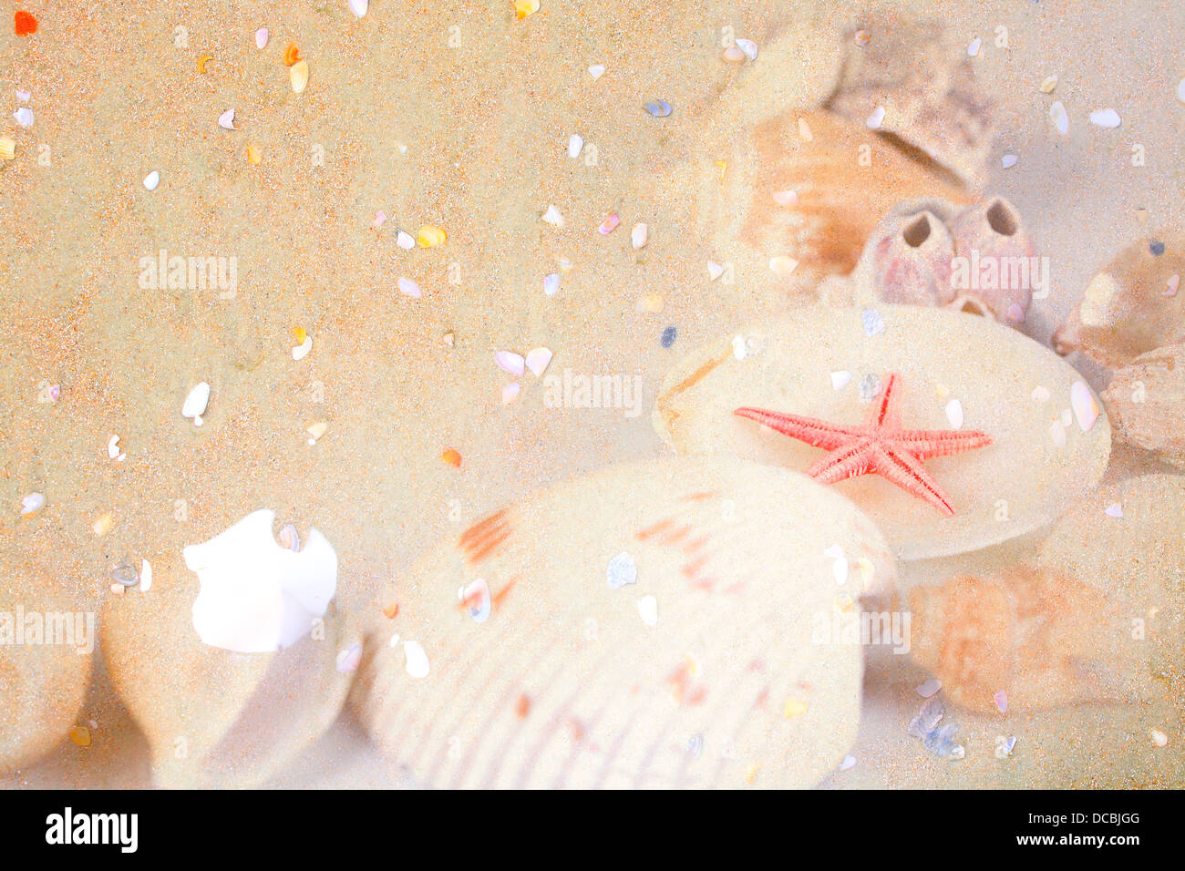 Small colorful shell on sand background Stock Photo - Alamy