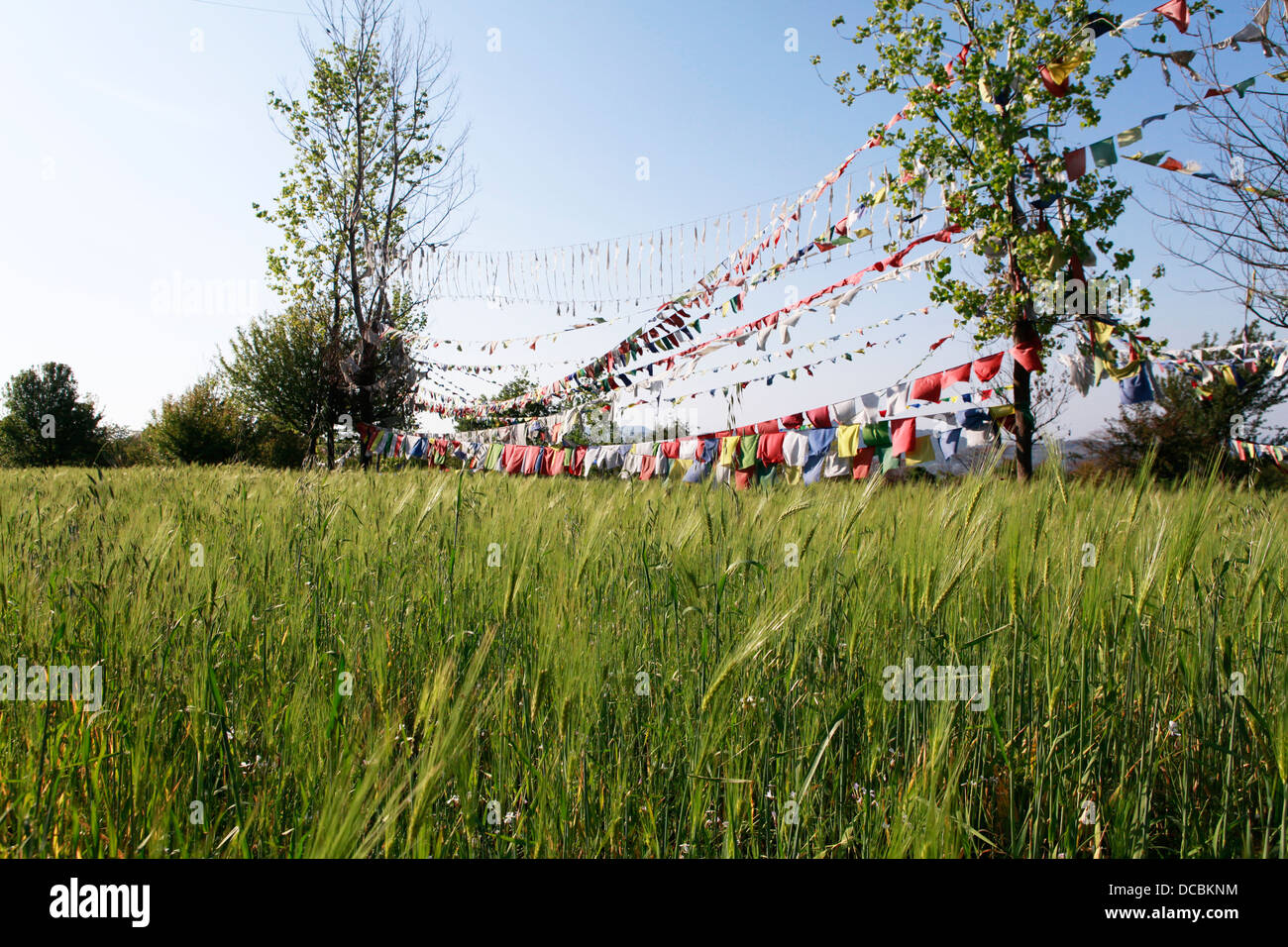 Flutter india hi-res stock photography and images - Alamy