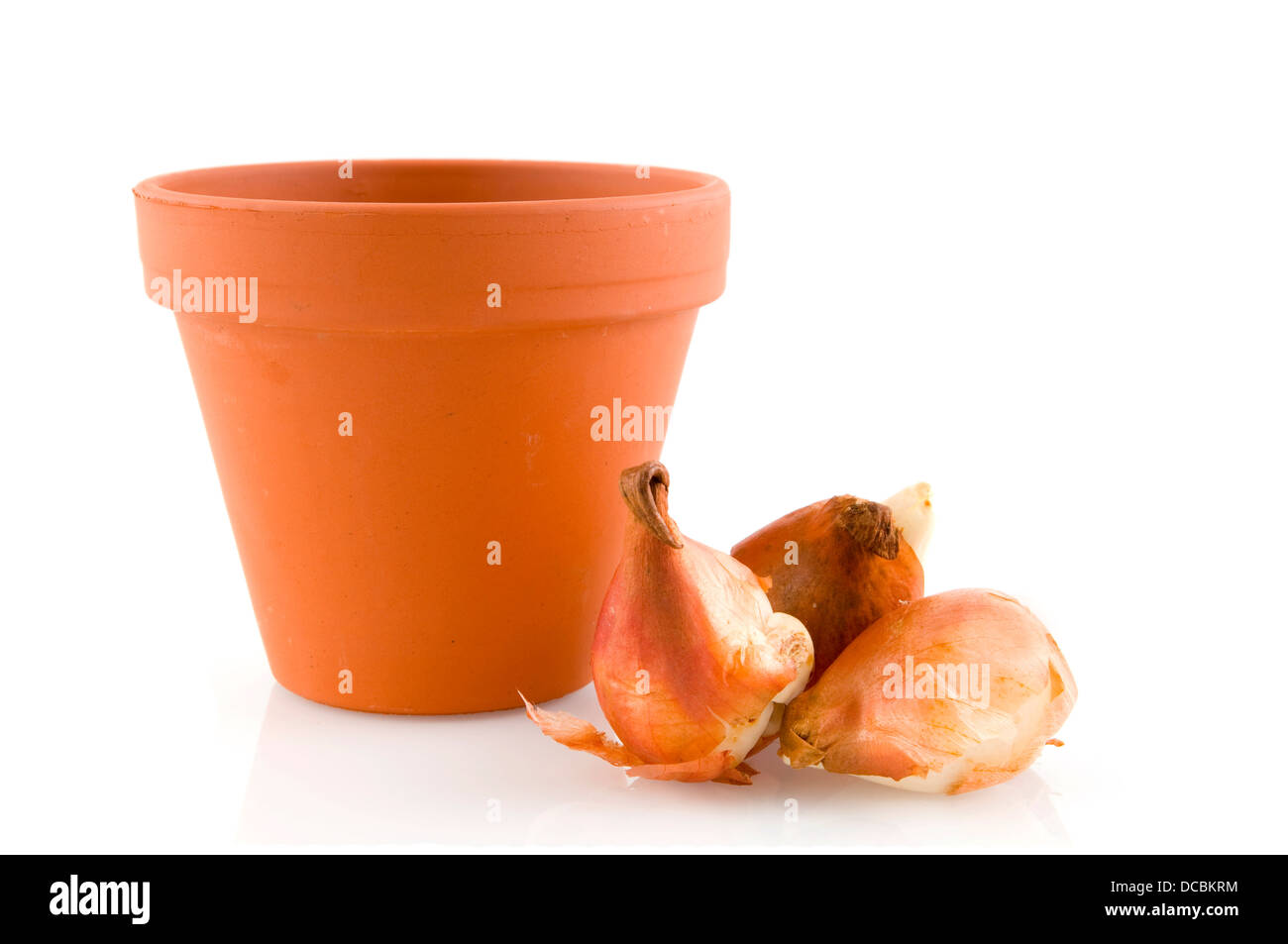 Three bulbs hi-res stock photography and images - Alamy